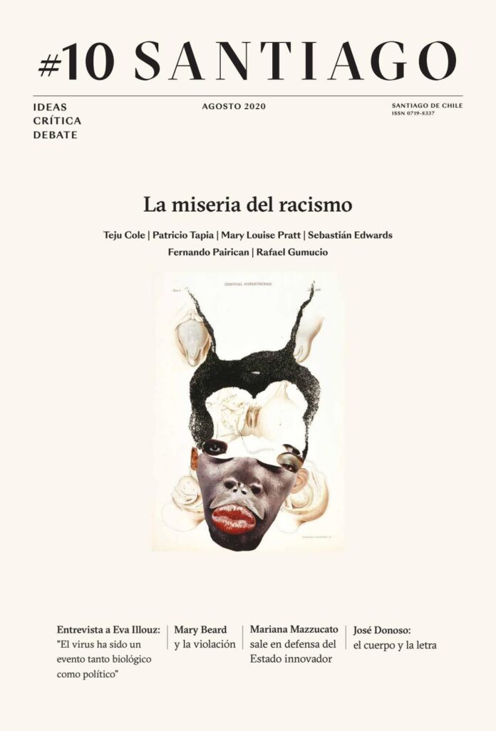 Combina e impresiona con razas mezcladas de American Bully: ¡Poderosas ...