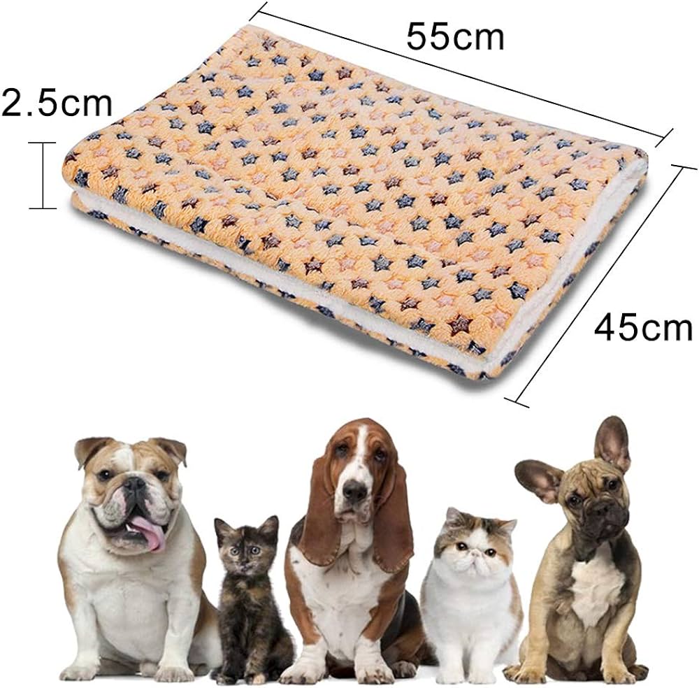 Consiente a tu perrita con los productos más adorables y únicos - Todo ...