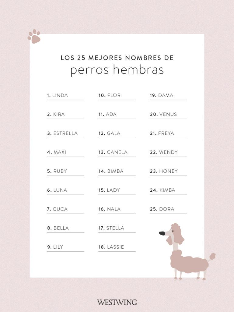 Encuentra nombres hermosos y originales para hembras de mascotas ...